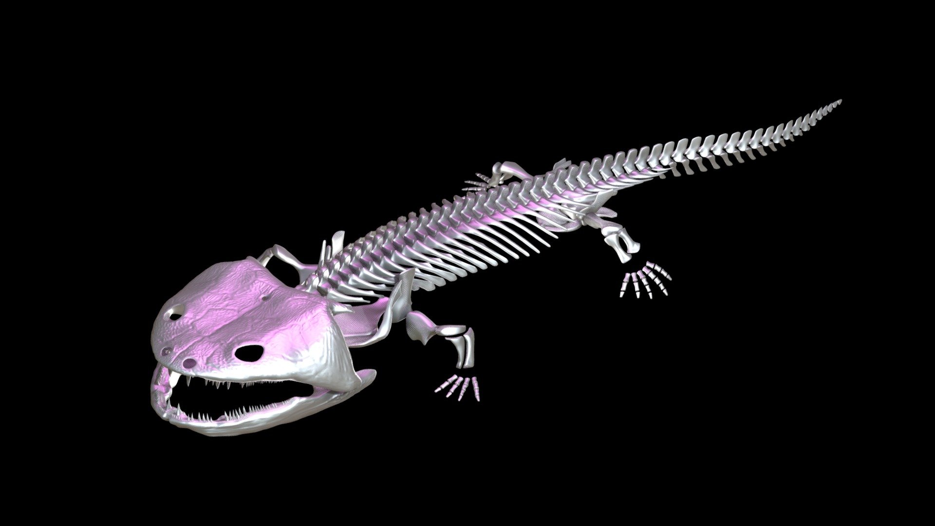 Siderops kehli Reconstruction & Animation - 3D model by Evans EvoMorph ...