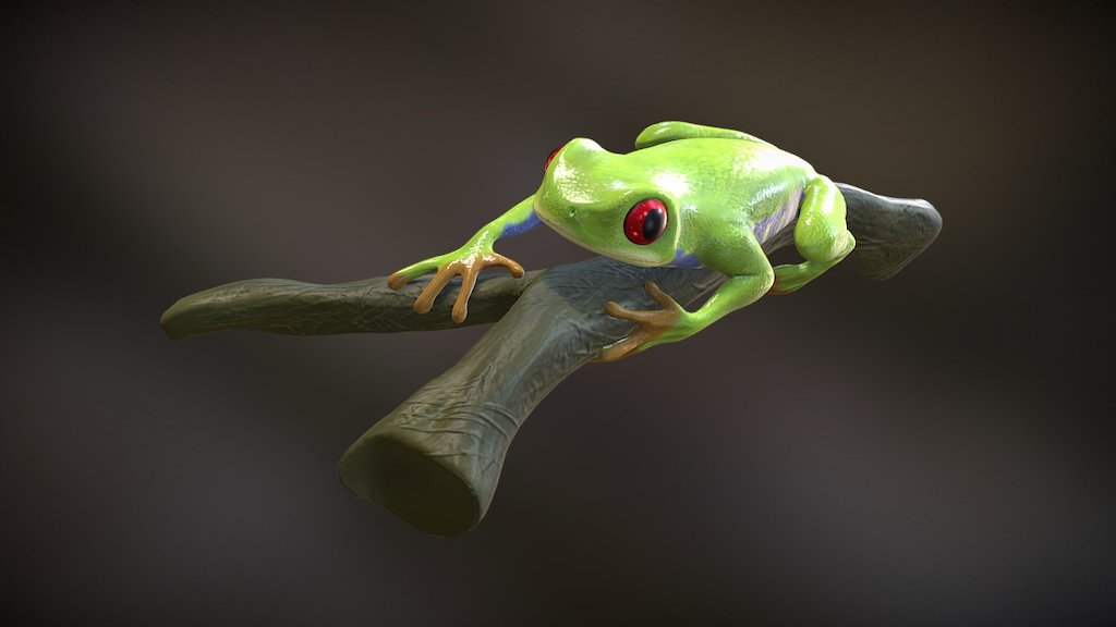 Tree Frog - 3D model by Sarah Wade (@sarahwade) [4cd3ab0] - Sketchfab