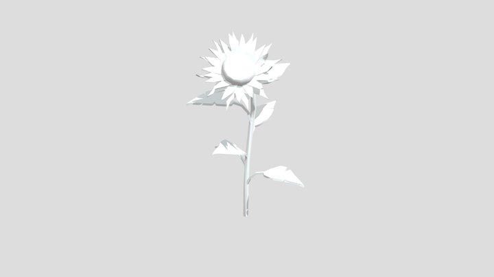 Sunflower 3D models - Sketchfab