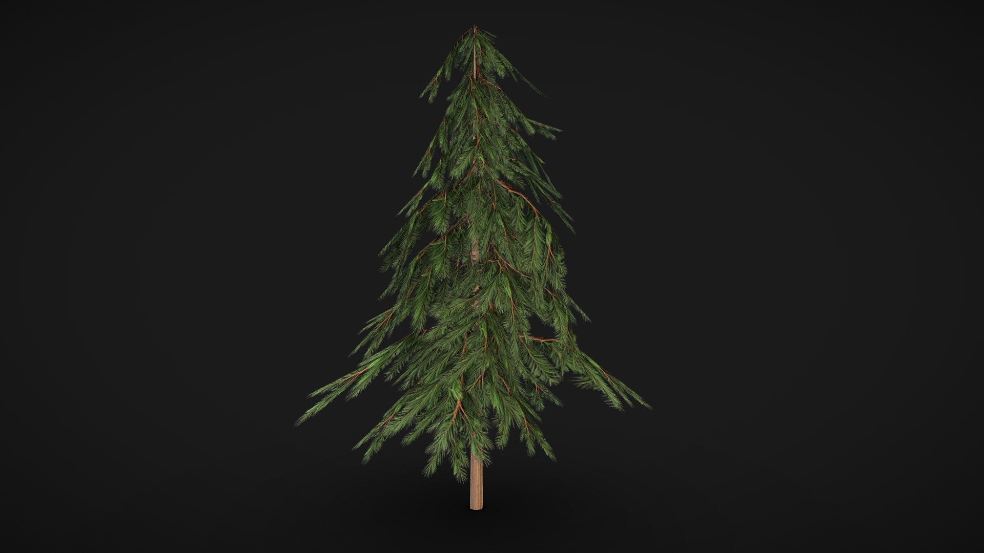 Pine Tree (580poly) - Buy Royalty Free 3D model by KJ (@kj3dx) [4ce89ad ...