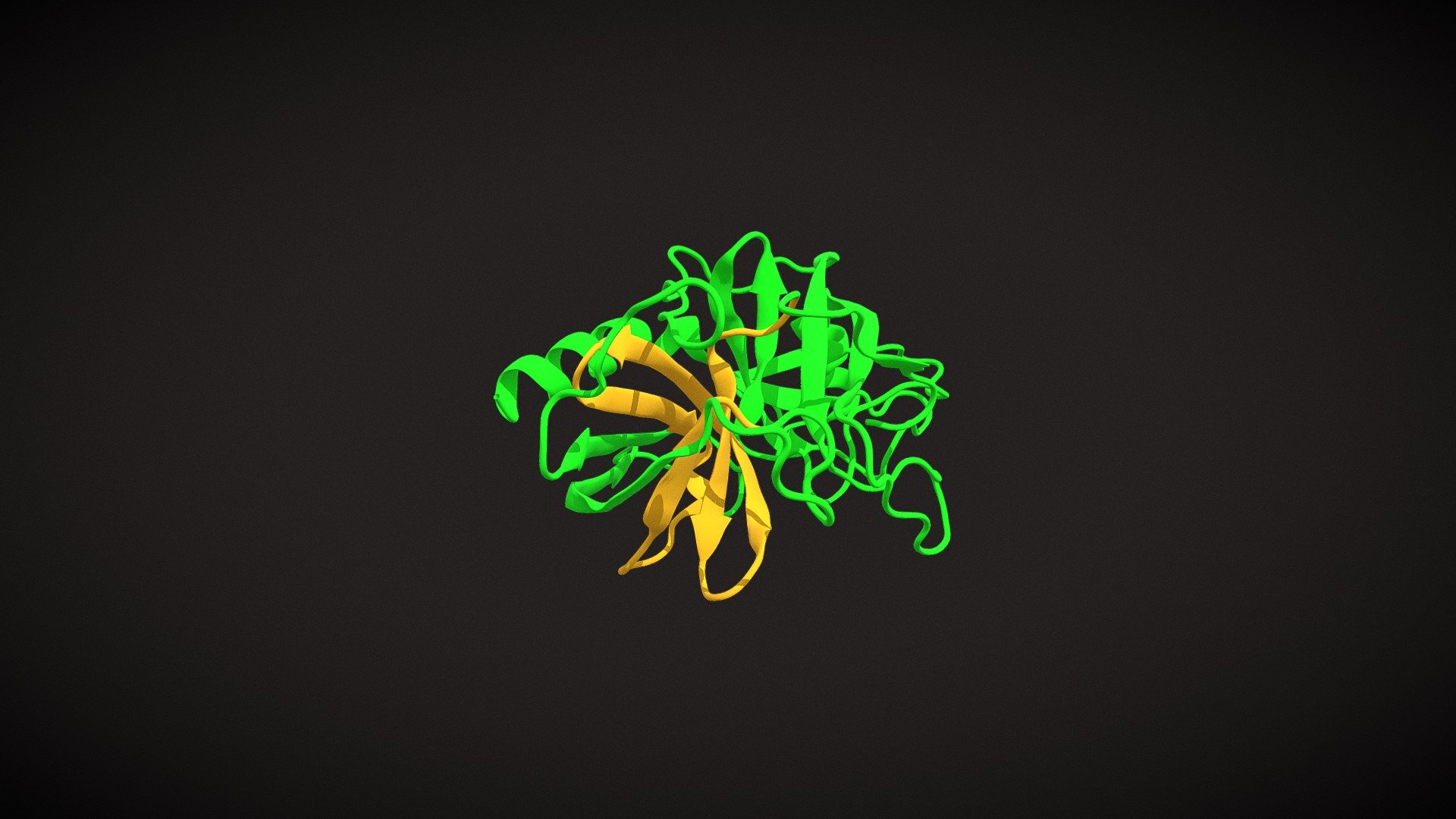 The Greek Key Motif of Trypsin - Download Free 3D model by gvsuchem ...