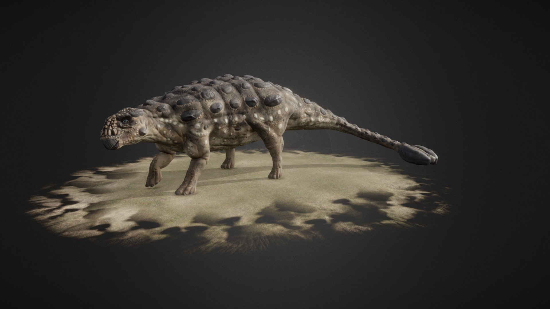Ankylosaurus - 3D model by Graham (@Graham.Jolliffe) [4cf13d2] - Sketchfab