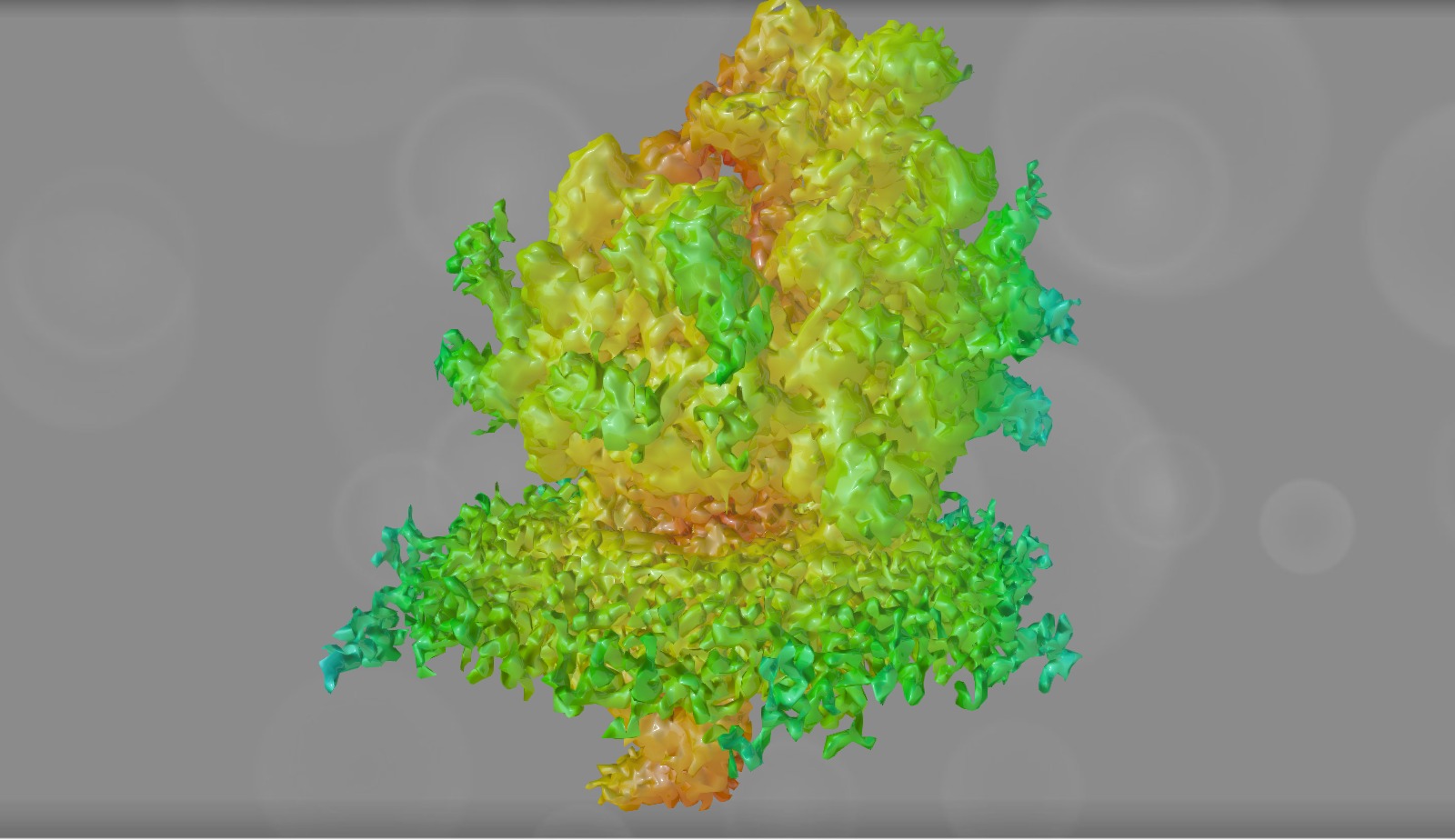 Ribosome bound to the native Sec61- EMD 3068 - 3D model by Interactive ...