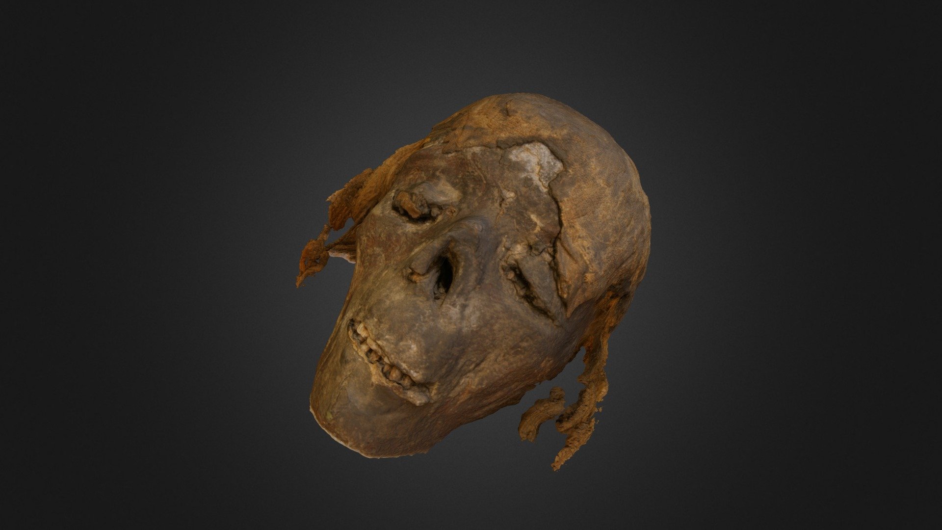 ZN416 - 3D model by RiancaV [4cf43b5] - Sketchfab