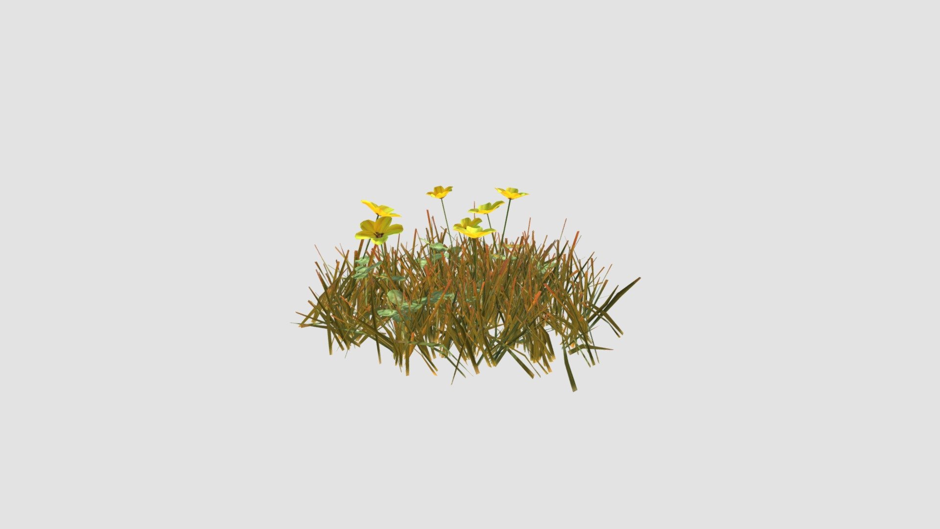simple grass small - Buy Royalty Free 3D model by Evermotion [4cf9f4b ...