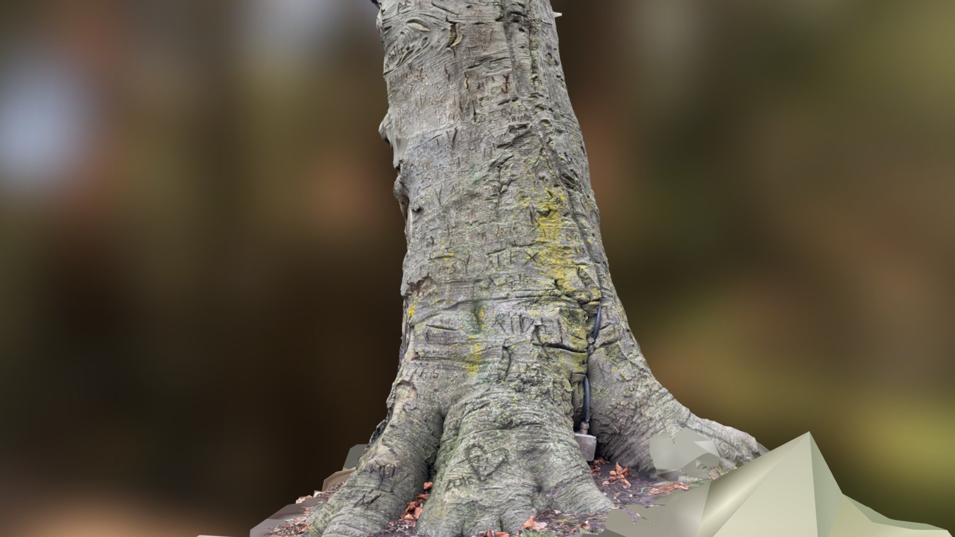 Tree Trunk Niagara - Raw Scan - Download Free 3D model by Nik (@nikska ...