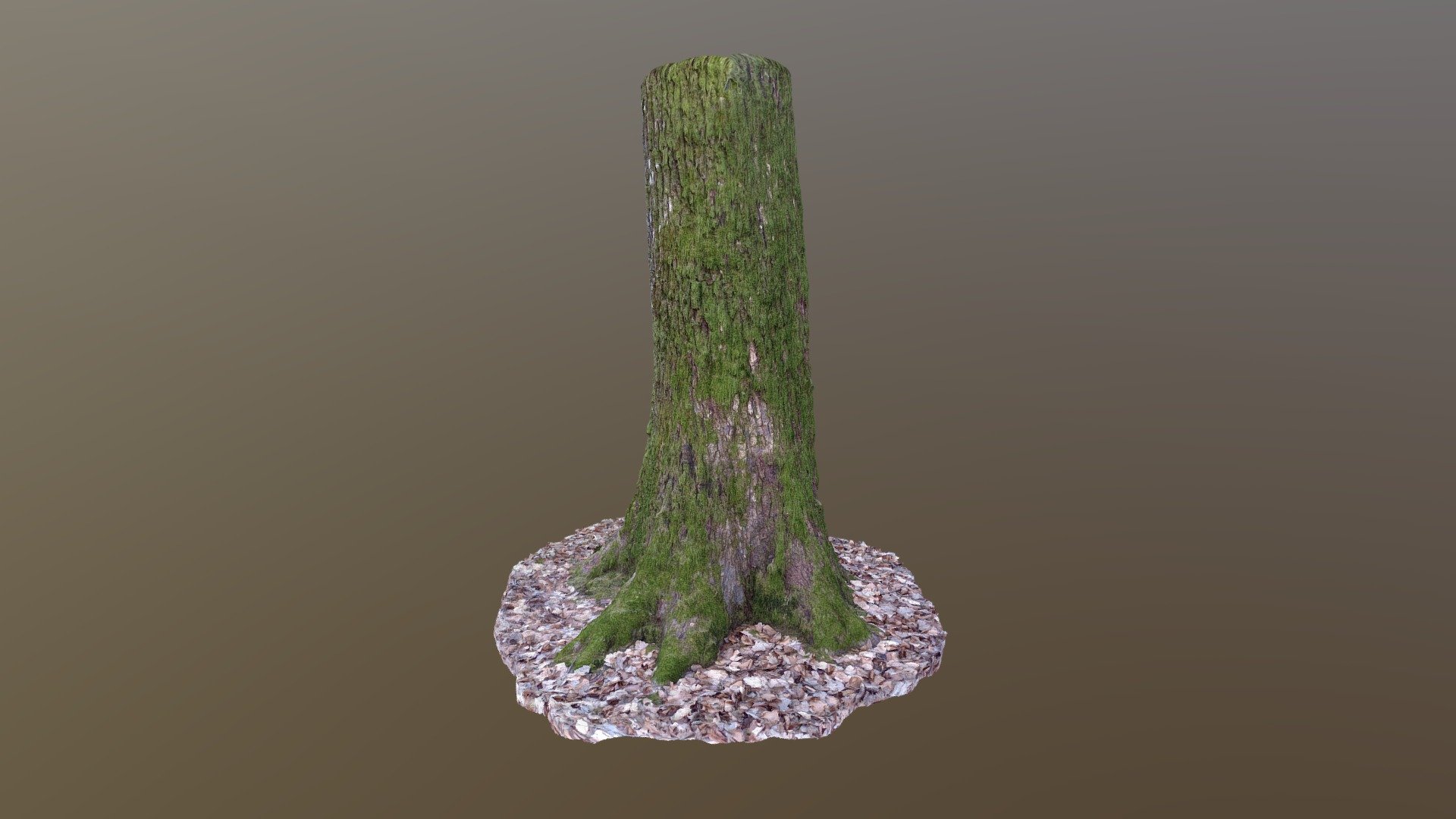 tree trunk - Download Free 3D model by fabio.lopes293 [4d01d22] - Sketchfab