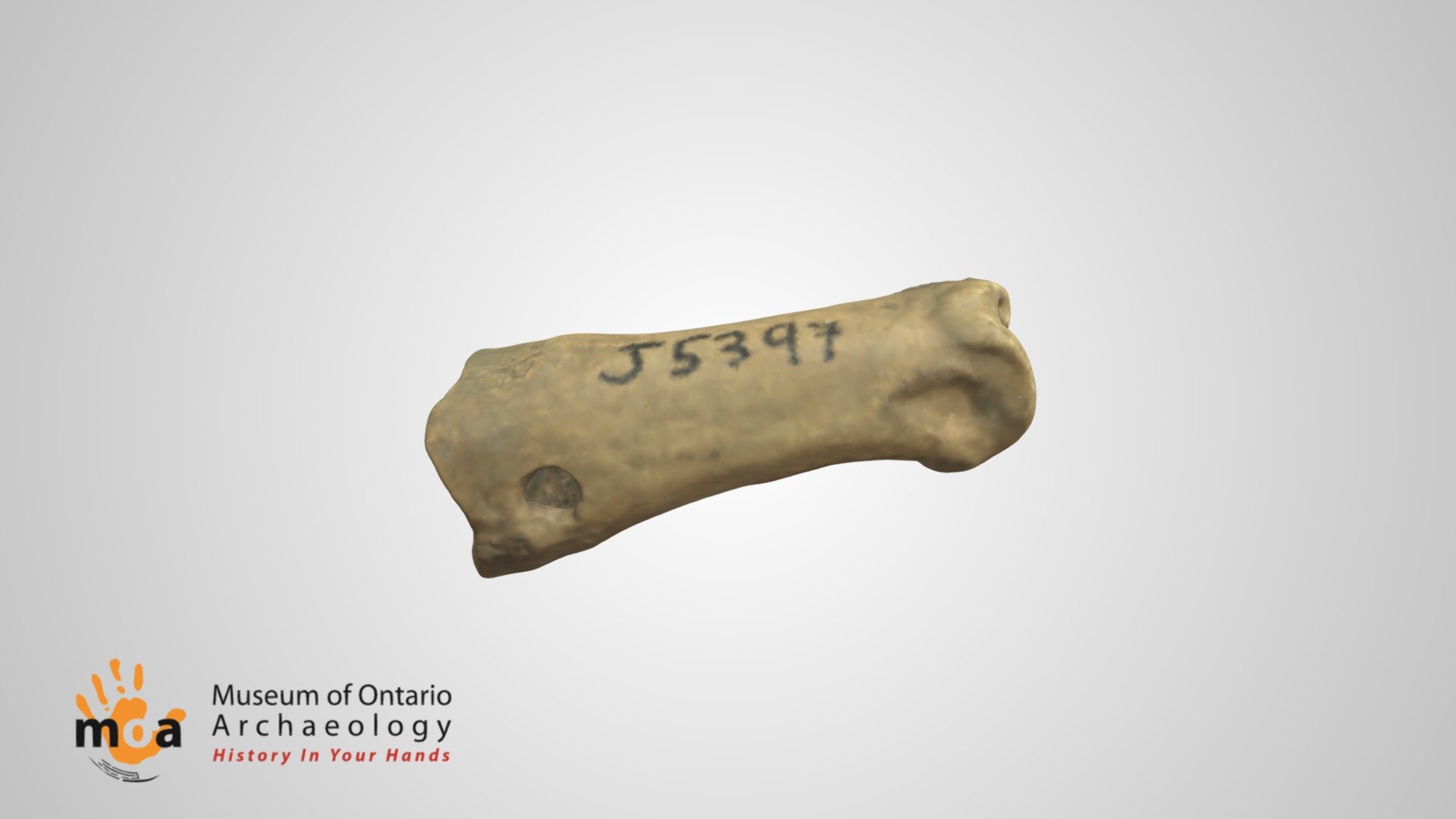 Deer Bone Bead - Jury Collection Object 5397 - 3D model by MuseOntArch ...