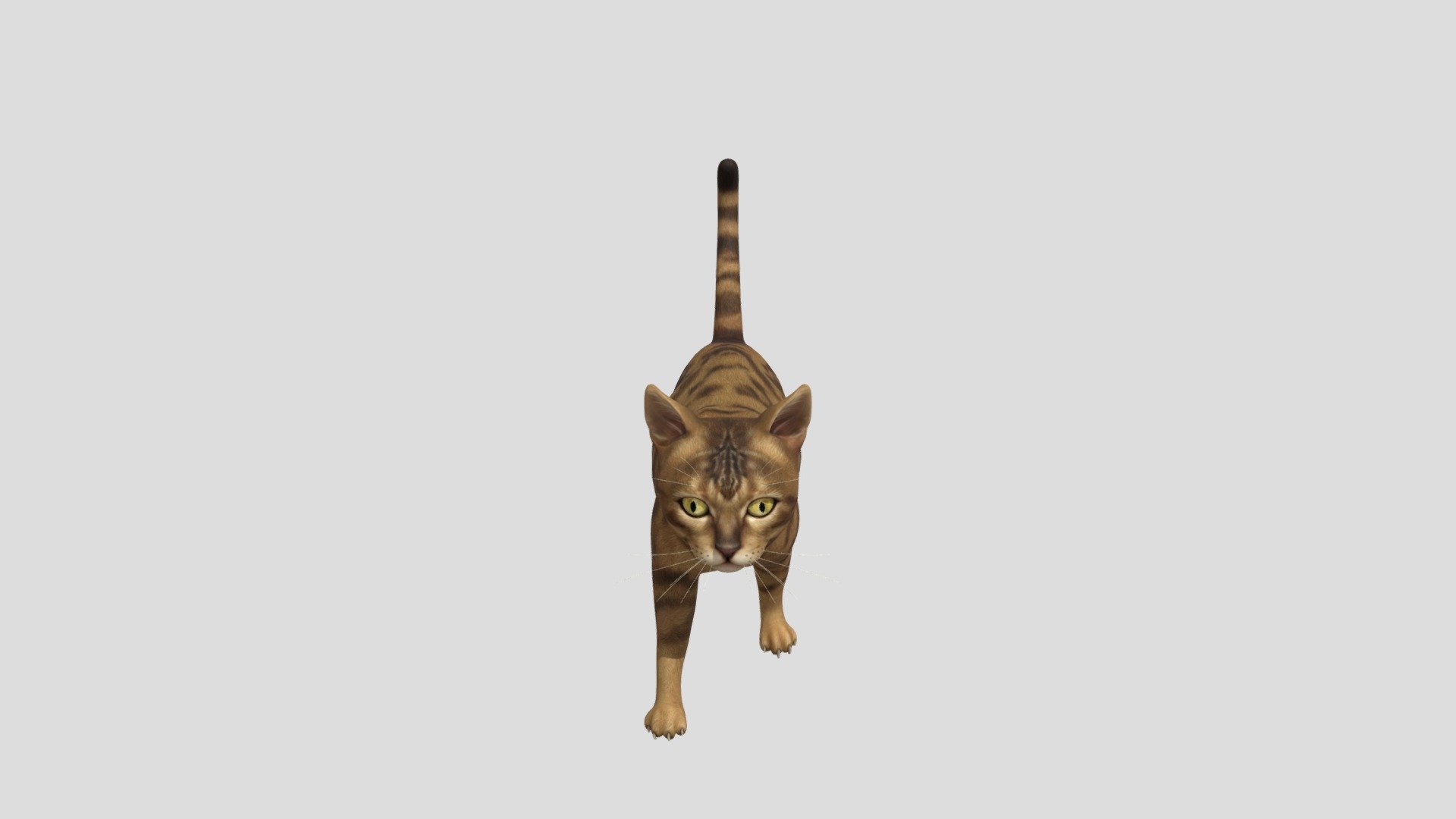 kucing - 3D model by firnafrna31 [4d20a41] - Sketchfab