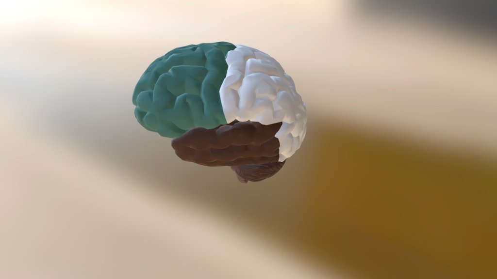 BRAIN - 3D model by therealpixar [4d272a5] - Sketchfab