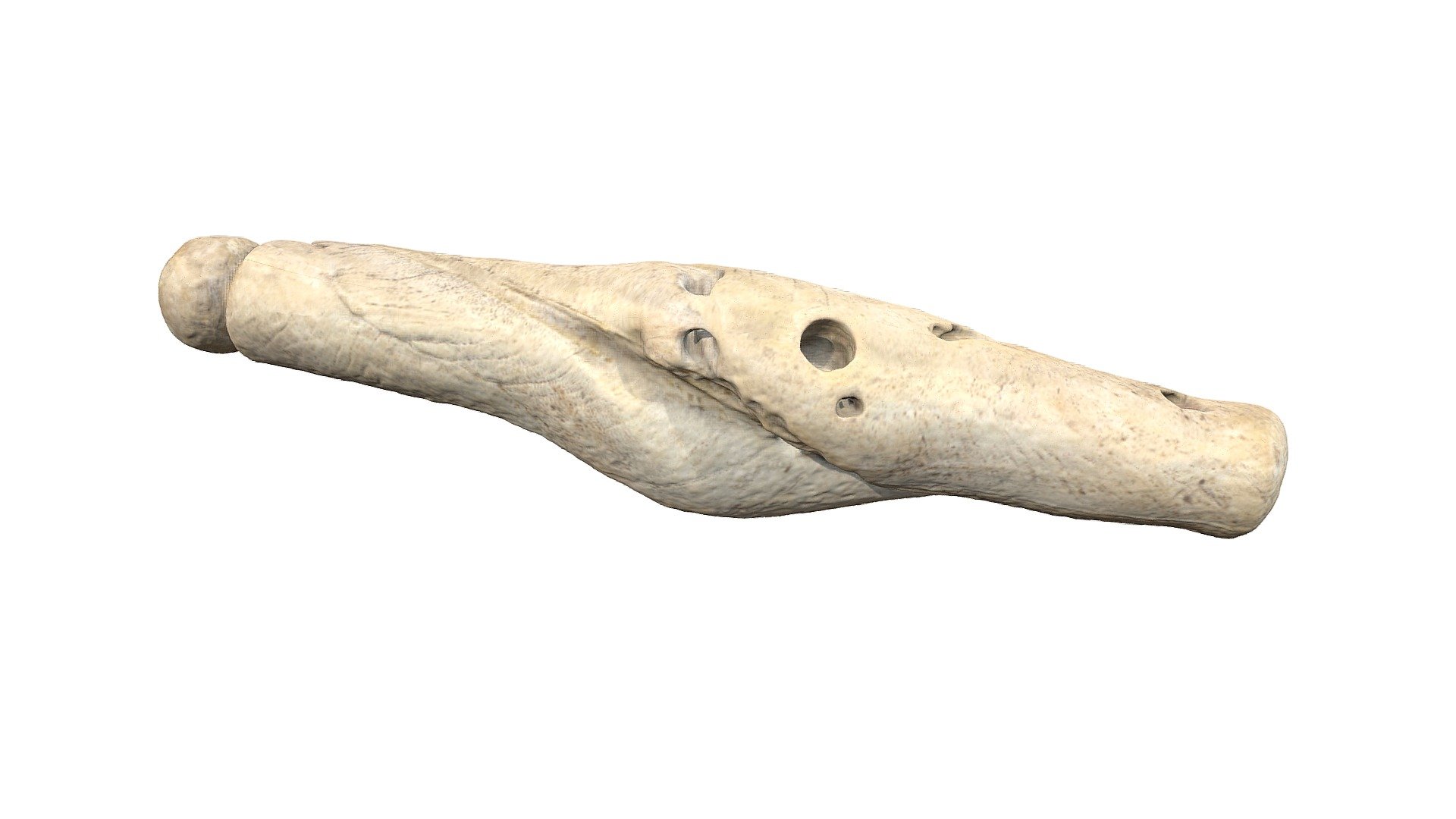 Shell Sinker or Plummet - 3D model by University of South Florida ...