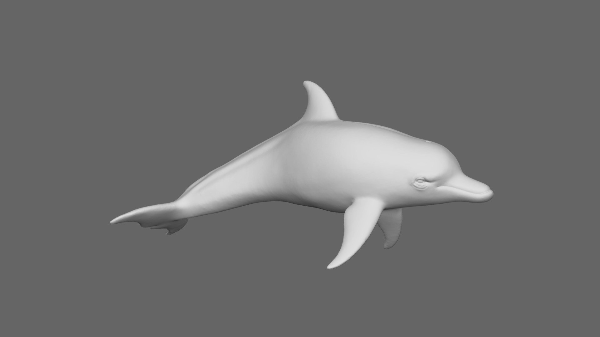 Dolphin - Buy Royalty Free 3D model by Phil-Crea [4d3672f] - Sketchfab ...