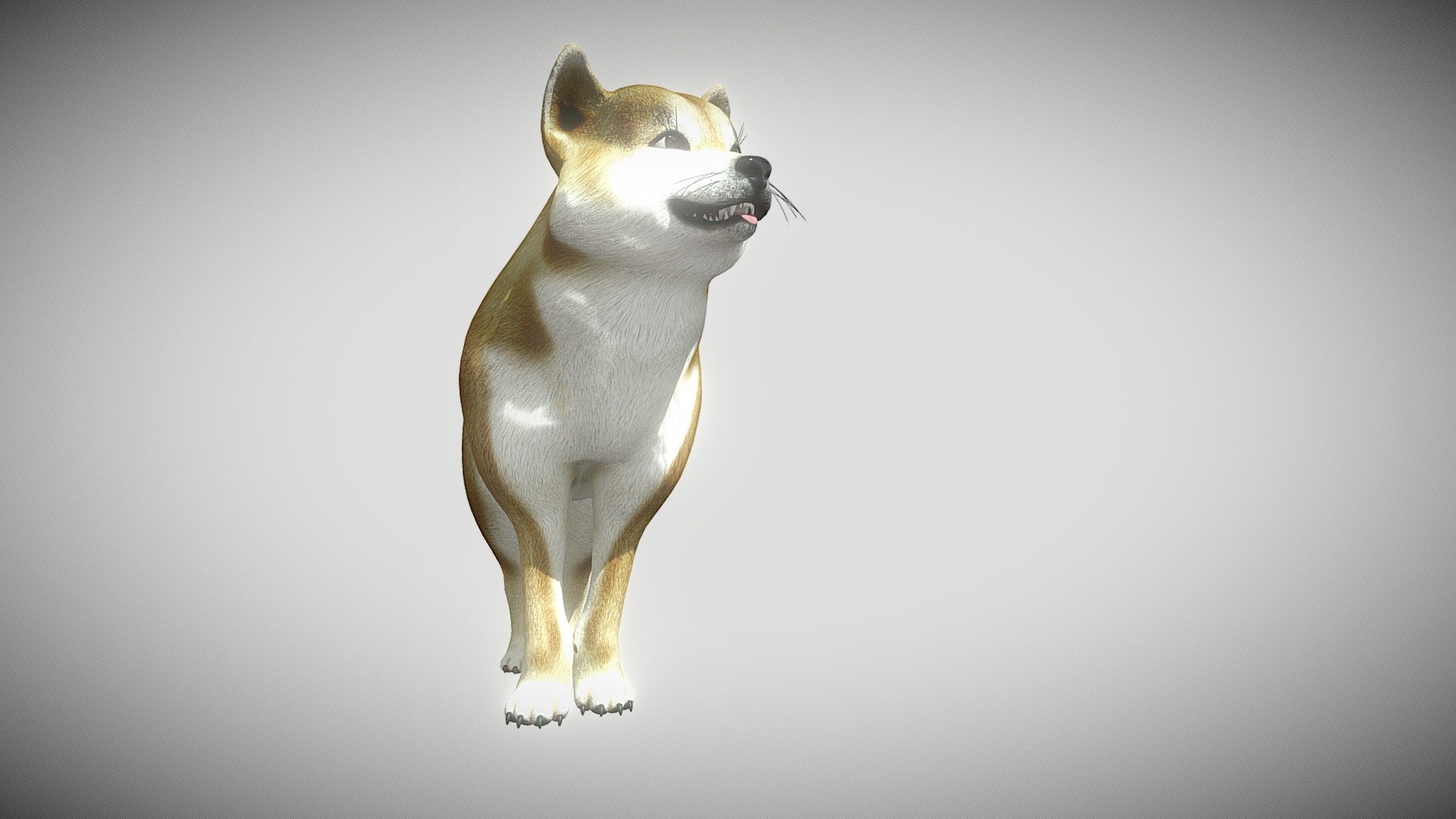 Shiba Inu Semi Realistic - Download Free 3D model by Ollie ...