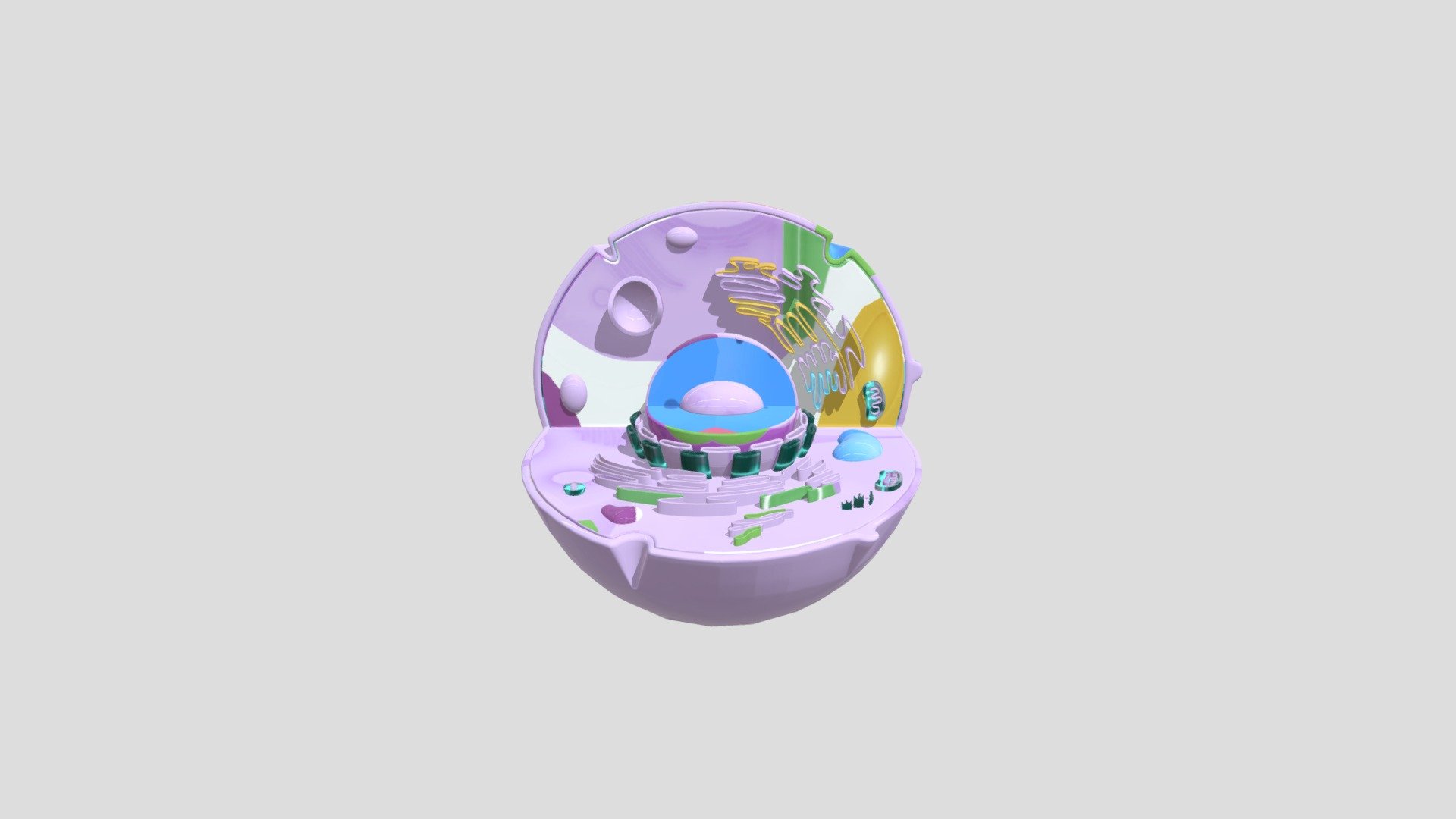 animal cel - Download Free 3D model by MAPACHEEE [4d411b1] - Sketchfab