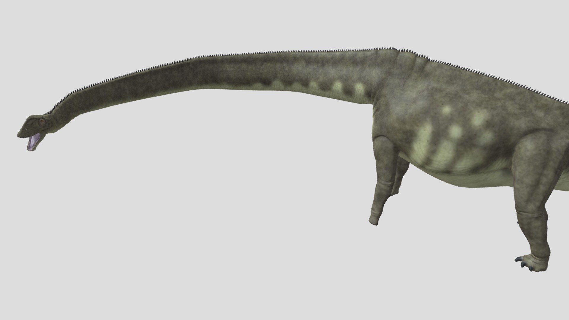 mamenchisaurus - Download Free 3D model by seth the yutyrannus (@slang107123456789) [4d457e7 ...