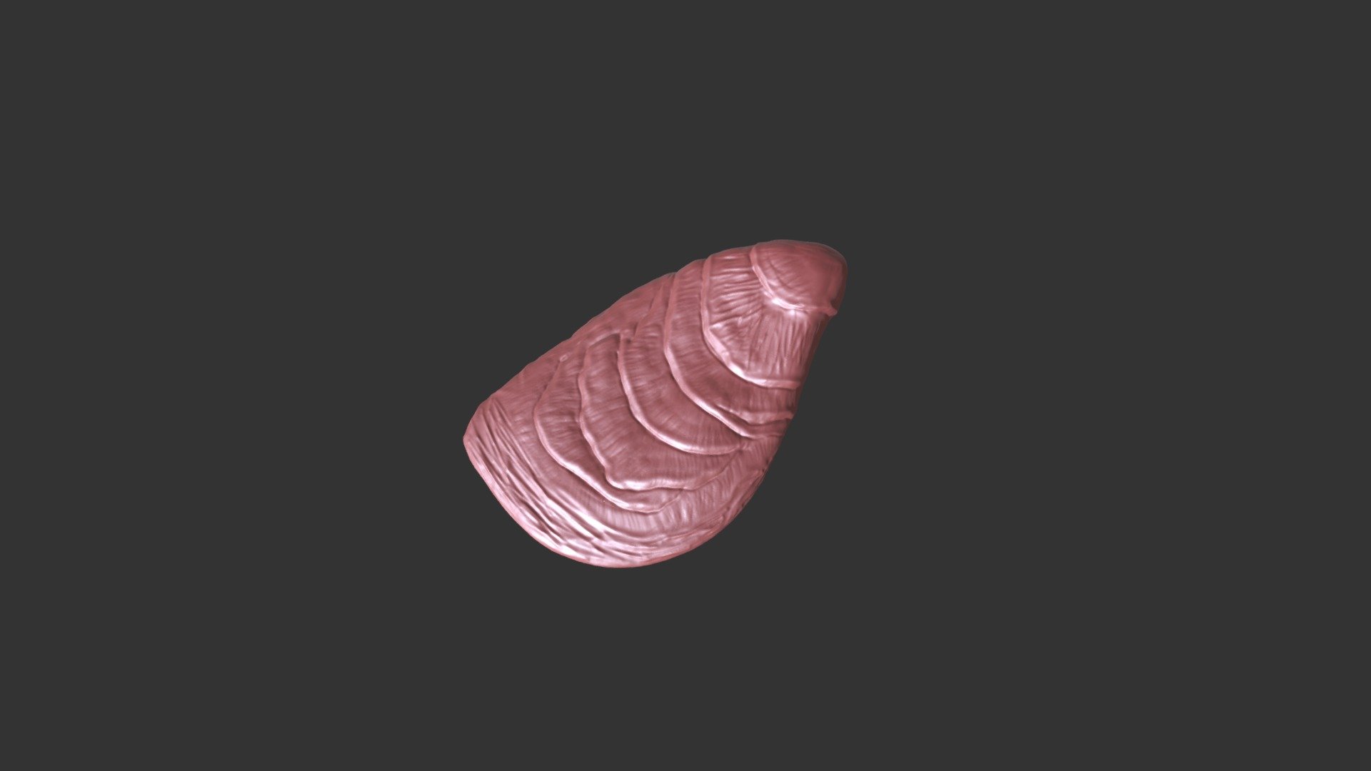 Sculpting January 2018 - 25 Shell - 3D model by praehist3d [4d50112 ...