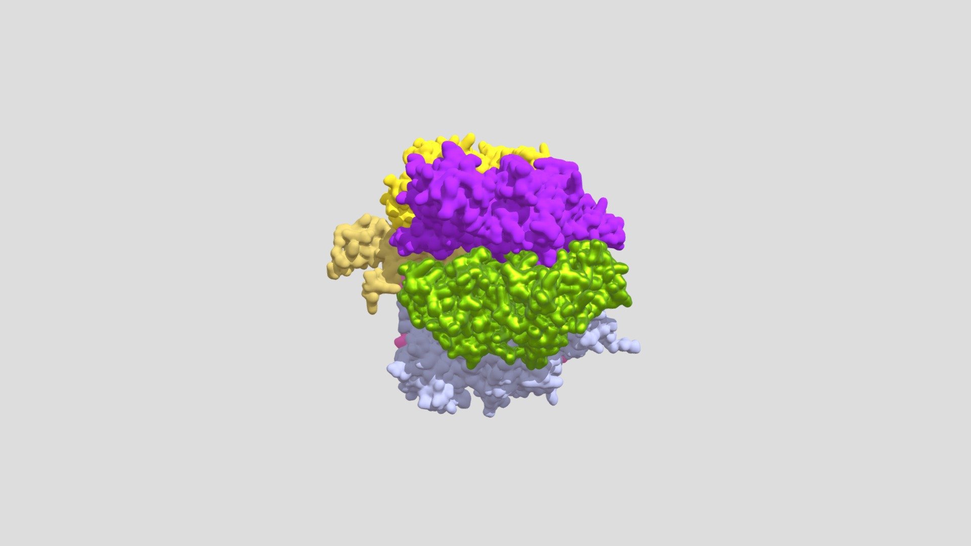 Bovine ATPase - 1NBM - Download Free 3D model by pwolfe94 [4d52daf ...