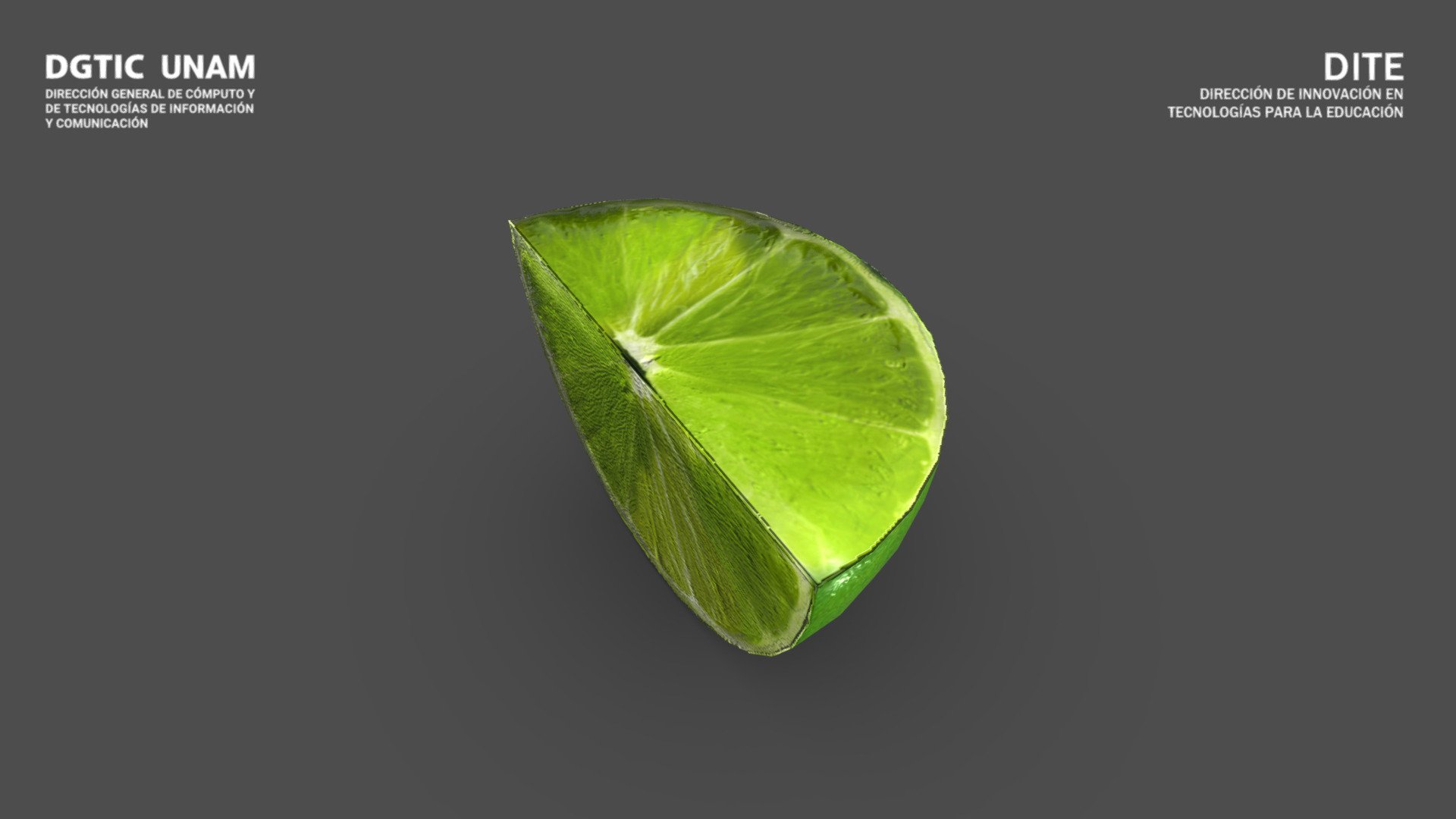 Limón - 3D model by UNAM | DGTIC | DITE | DRDE (@DRDE_UNAM) [4d5856c ...