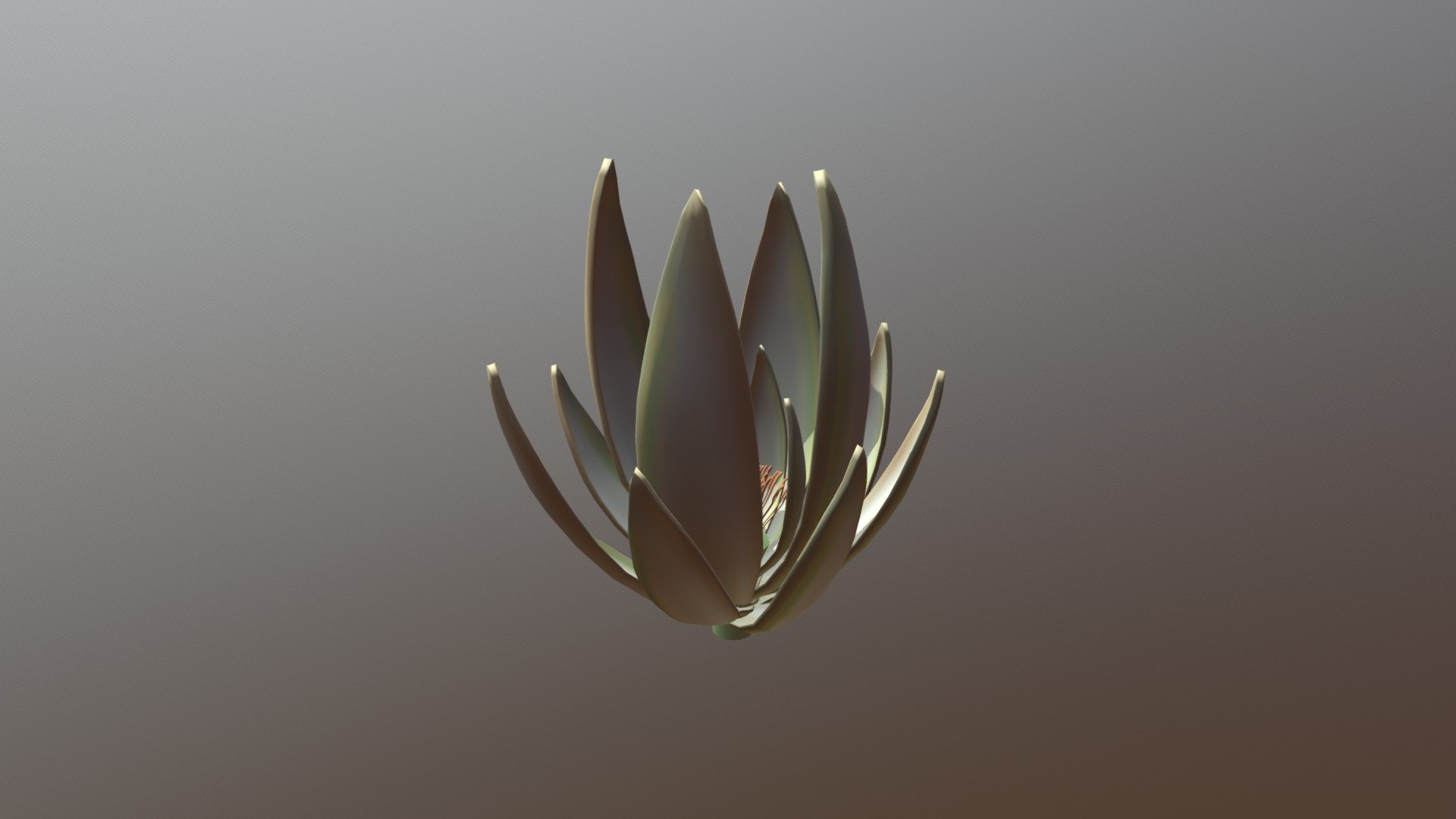 Small Lotus - 3D model by enricoleasa [4d59c1c] - Sketchfab