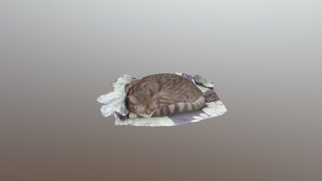First cat scan - 3D model by StrandedKitty [4d5d7a2] - Sketchfab