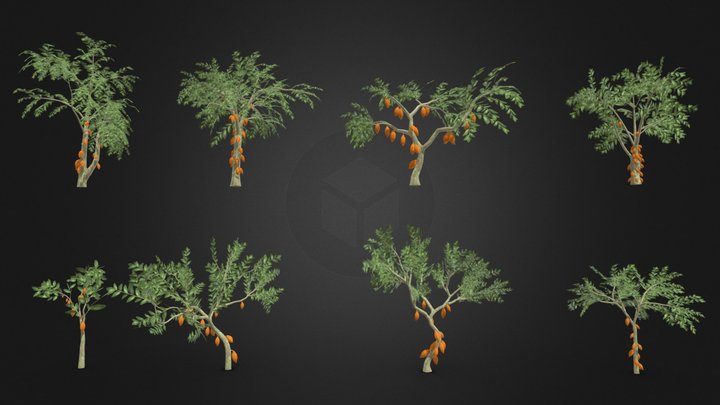 Cacao-tree 3D models - Sketchfab