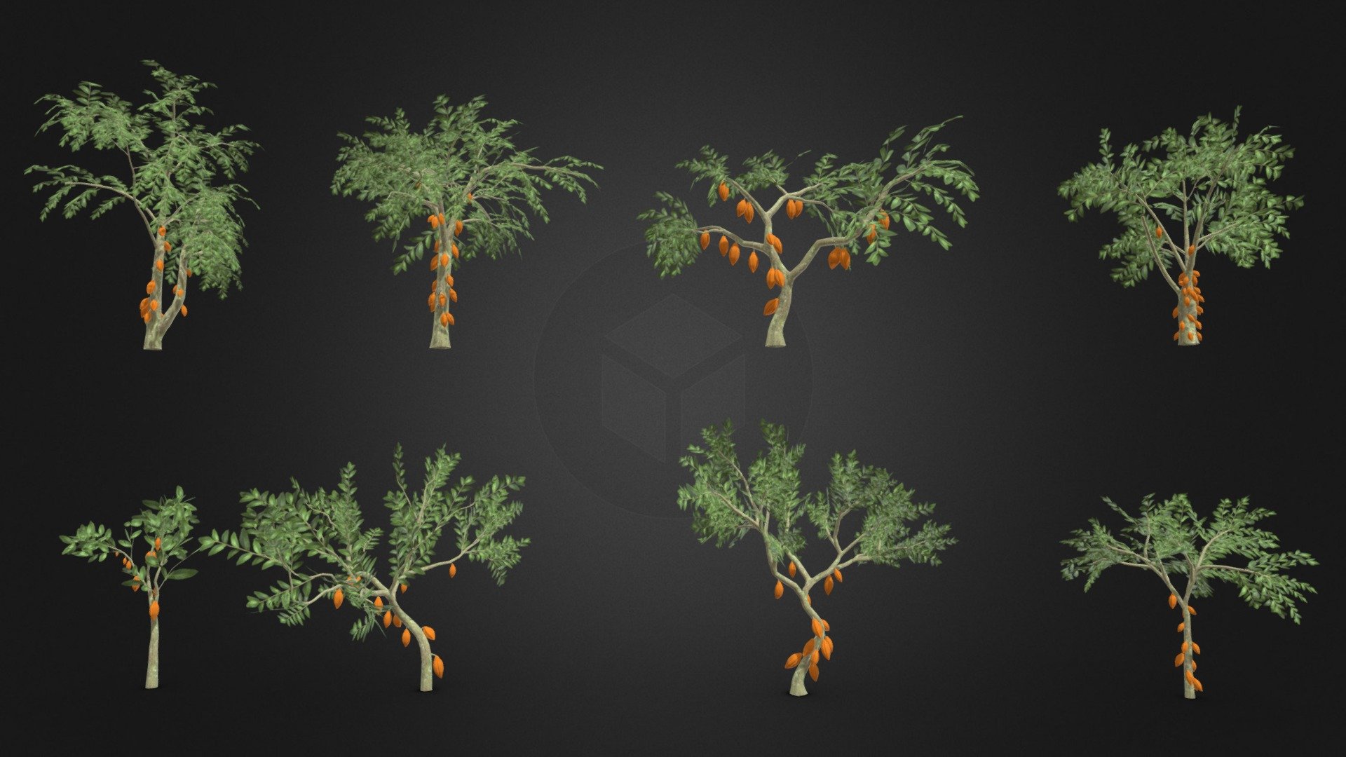 Cacao Tree- Orang Fruit- Pack 01 - Buy Royalty Free 3D model by ASMA3D ...