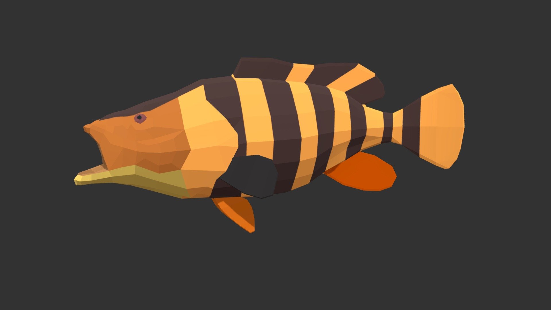 Goliath Grouper - 3D model by josluat91 [4d67805] - Sketchfab
