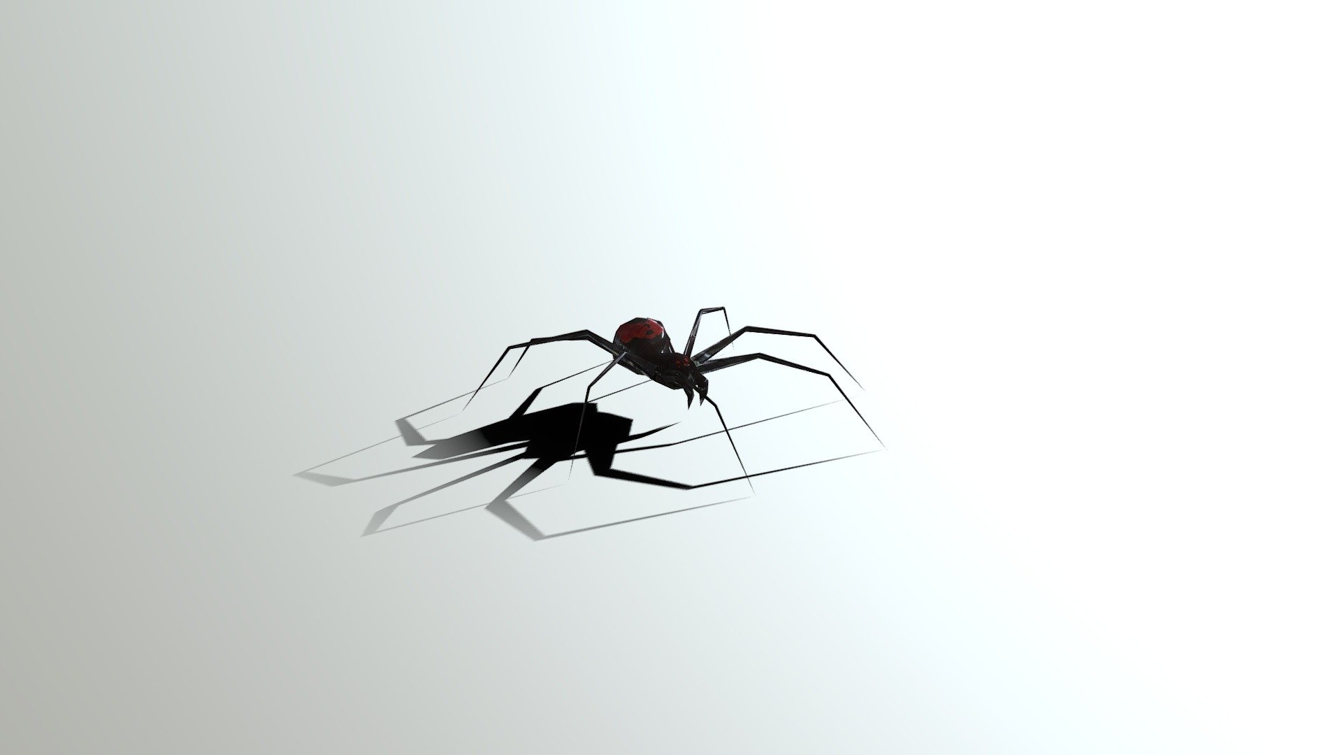 Black Widow Spider - Download Free 3D model by SpiderBight [ArachnoBoy ...