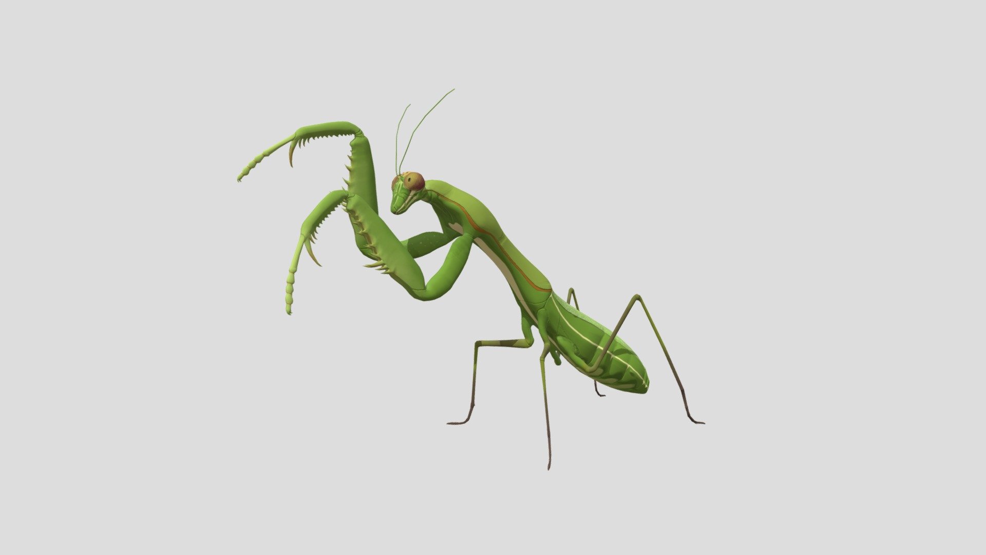 P01c - Mantis_High - Textured - 3D model by Vexelious [4d727b7] - Sketchfab
