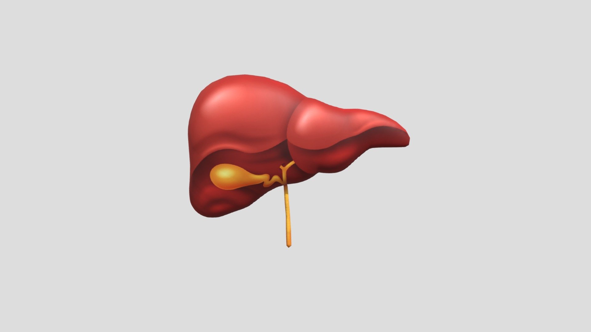 hati - Download Free 3D model by zainahmad [4d75749] - Sketchfab
