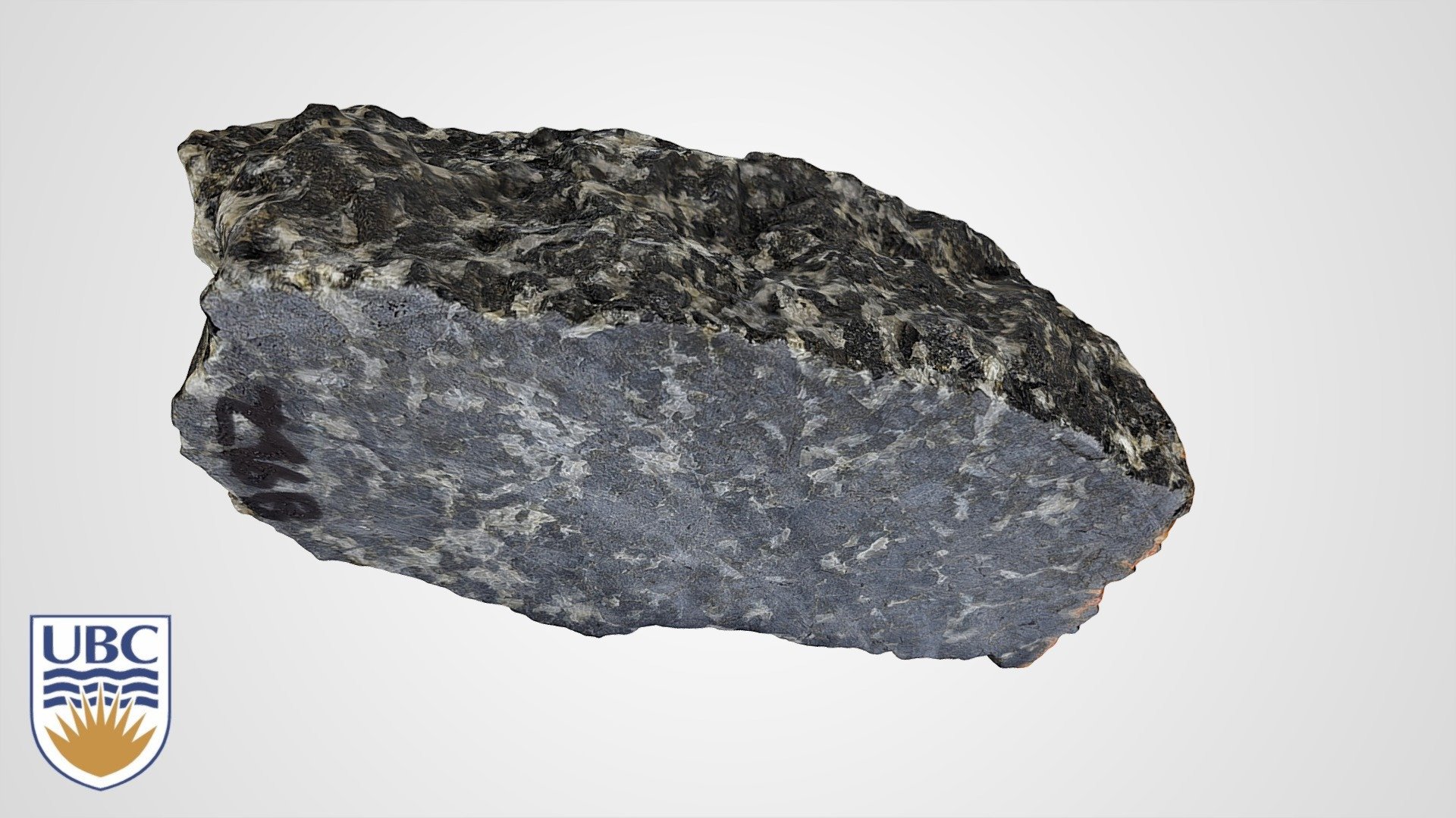 Skaergaard intrusion LZb* (SEB87-246B) - 3D model by Nichole Moerhuis ...