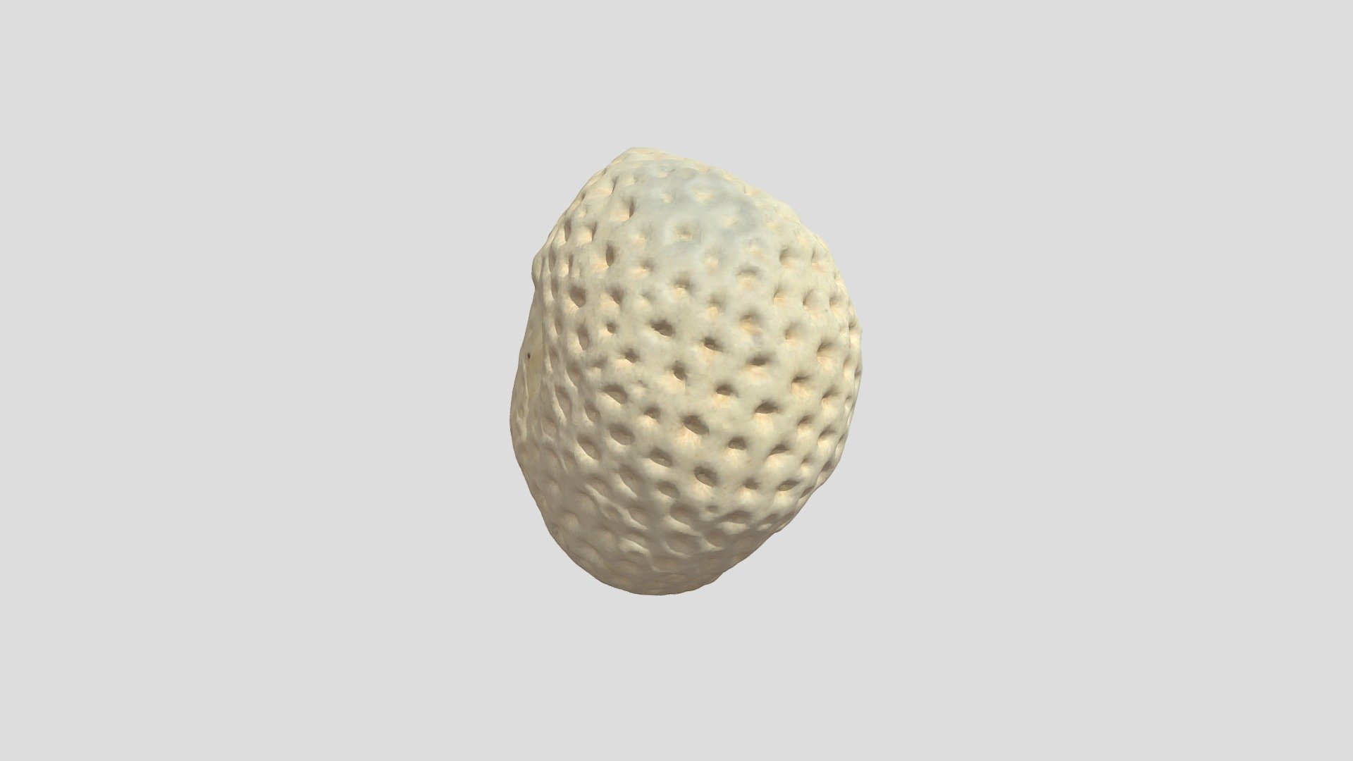 JWP Favia sp. - 3D model by Wesleyan University (@wesUdigital) [4d7e5c1] - Sketchfab