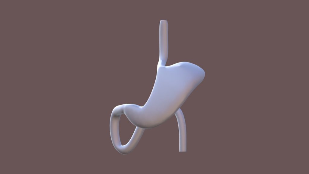 Upper GI - 3D model by uppergi [4d7e8ce] - Sketchfab