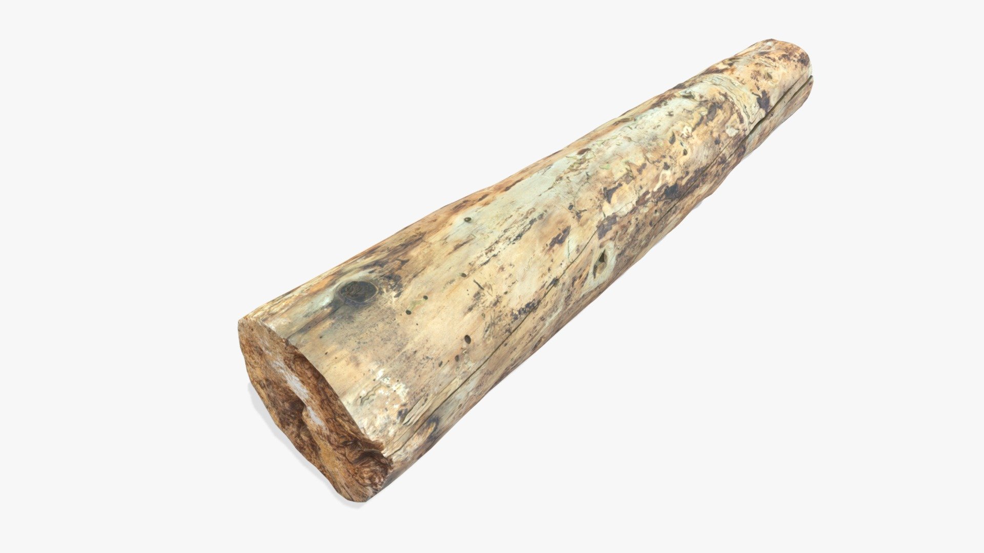 Debarked Rotten Pine Log - Buy Royalty Free 3D model by realnothing ...
