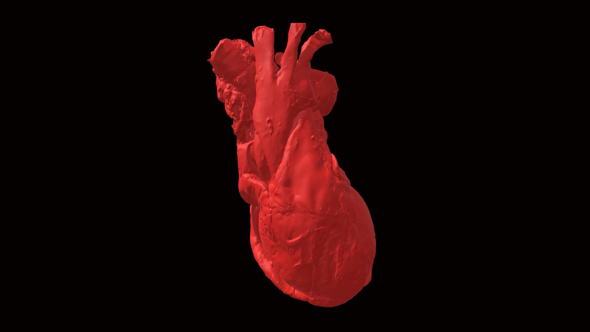CC36884 Female Heart with No Devices - Download Free 3D model by ...