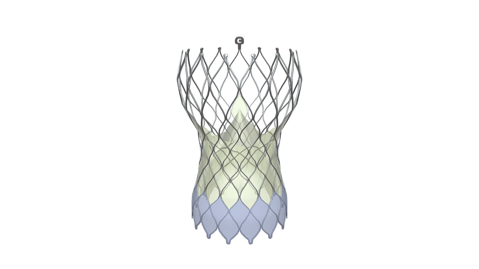 1.Transcatheter Heart Valve (Evolut PRO) - 3D model by iSHOWROOM ...