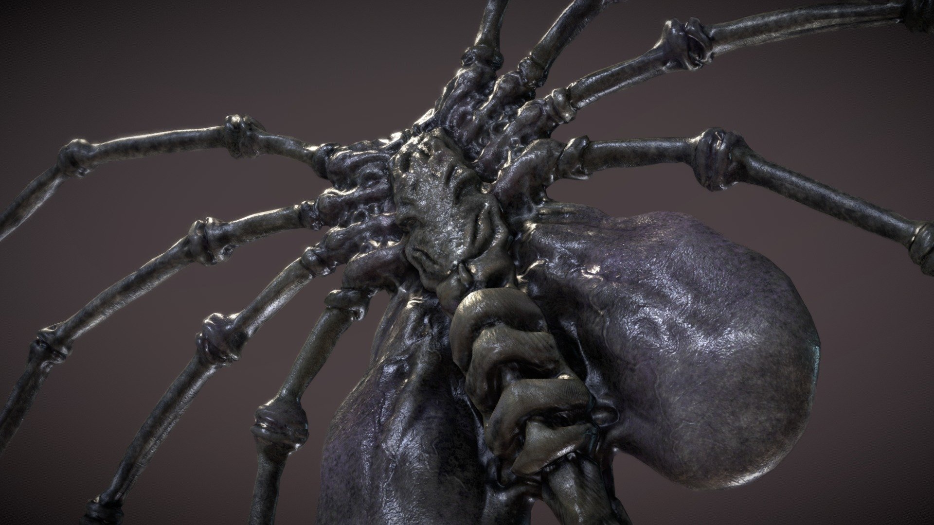 Face Hugger - Download Free 3D model by by.antihrist [4dae2d2] - Sketchfab