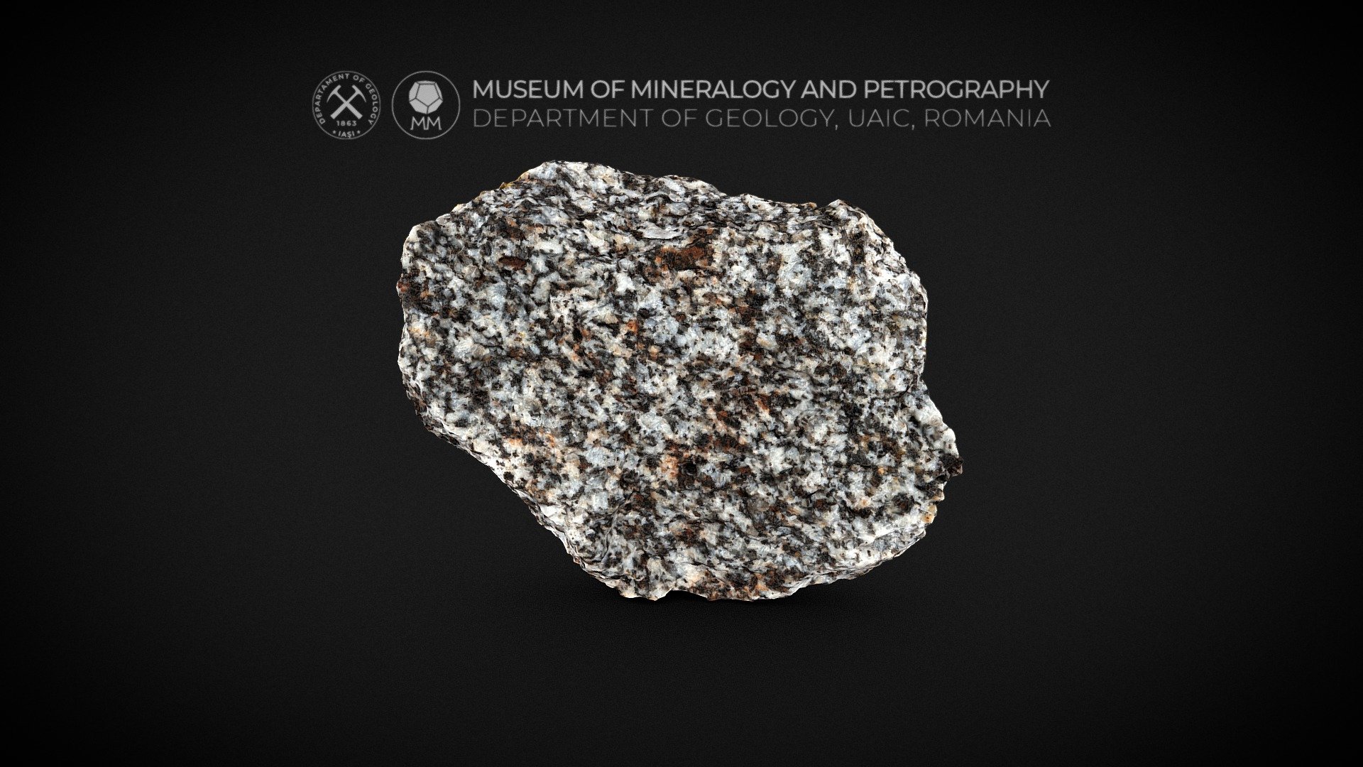 Granodiorite (igneous rock), France - 3D model by Museum of Mineralogy ...