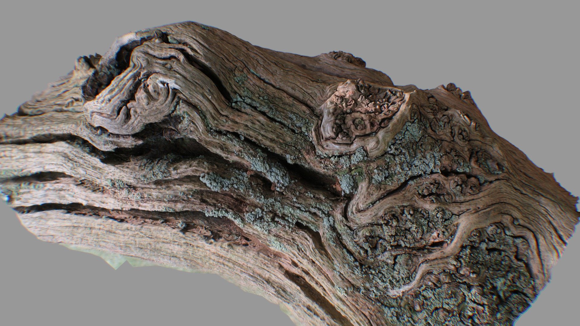 Old Tree - Download Free 3D model by stuff scanner (@boypuff) [4db1a34 ...