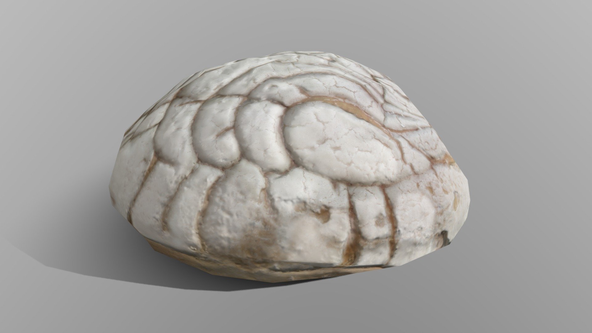 Mexican Bread Concha - Low poly - 3D model by alficaSO [4db5952 ...