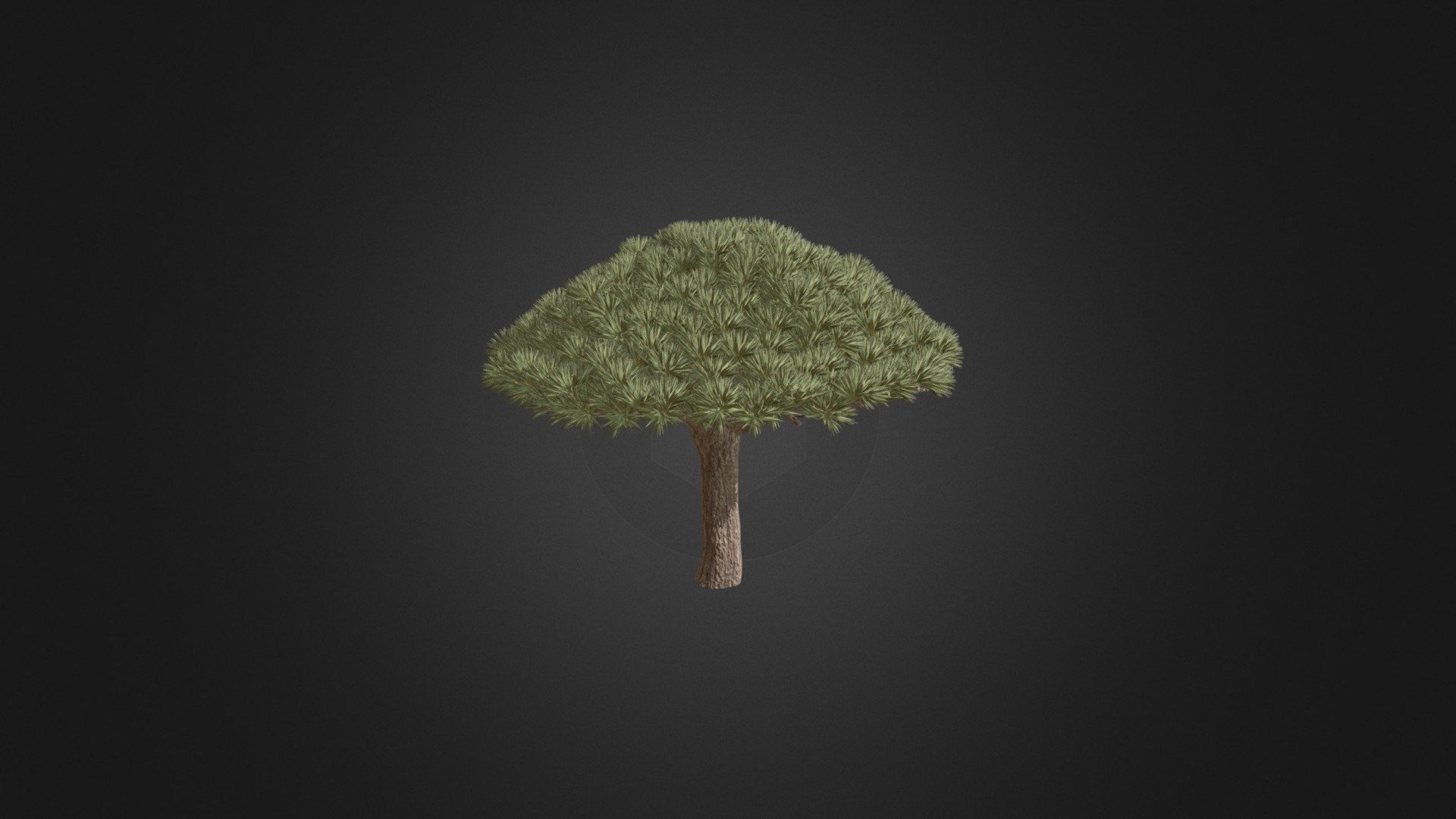 Dragon Tree - Buy Royalty Free 3D model by cgaxis [4dbd786] - Sketchfab ...
