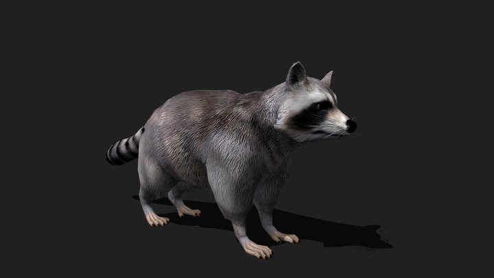 Animals 3D models - Sketchfab
