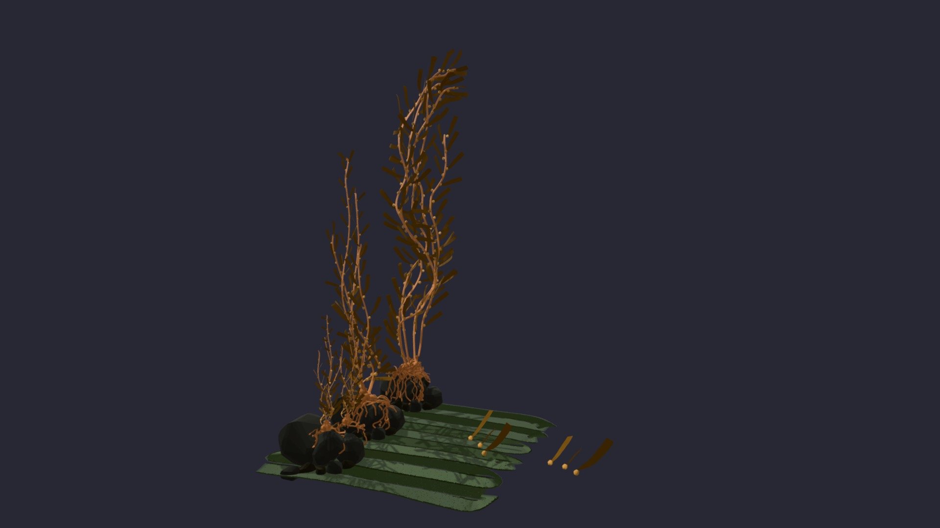 Kelp Forest Small Medium Large - Download Free 3D model by Etribe ...