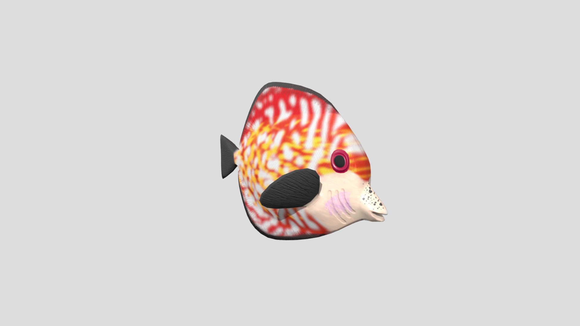 Discus Fish - Download Free 3D model by JacksonHaycraftGraphics ...