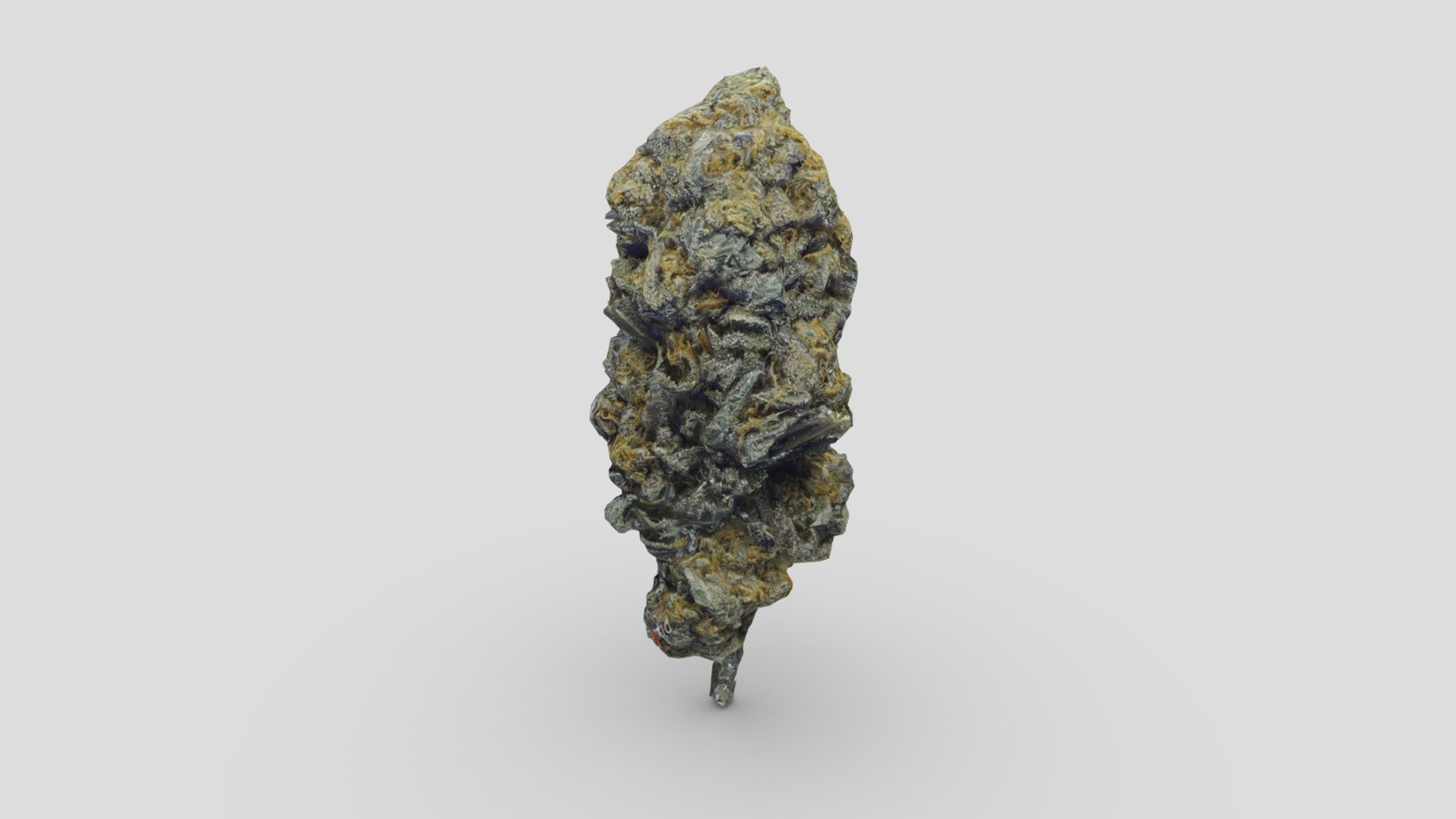 Trudope - 3D model by astounddigital [4dd7ff0] - Sketchfab