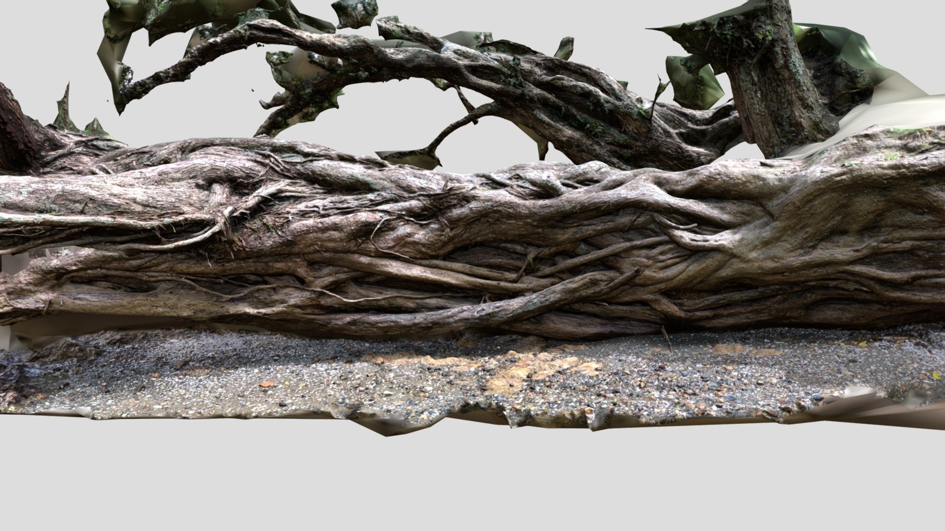 Log - Download Free 3D model by peter.allely [4dde146] - Sketchfab