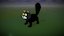Cat Walk Animation (Blender) - Download Free 3D model by ayvlasov ...