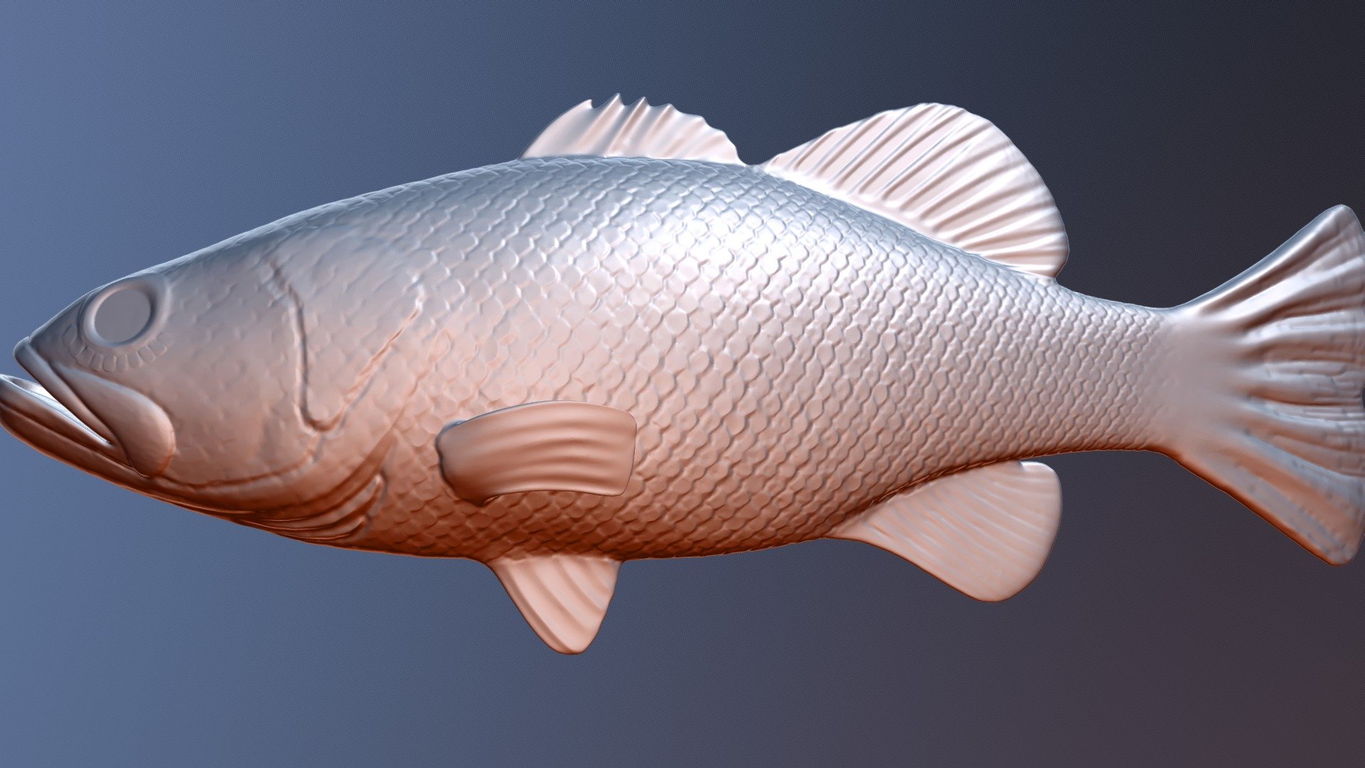 Bass Trophy Top - 3D model by 3dsam79 [4dedc0d] - Sketchfab