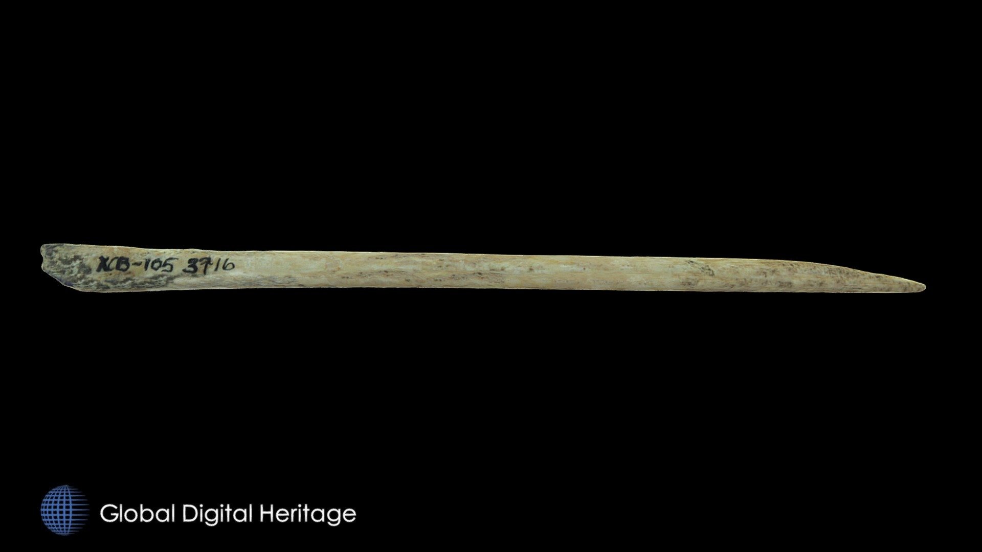 Bird Bone Awl, XCB-105-3716 - Download Free 3D model by Global Digital ...