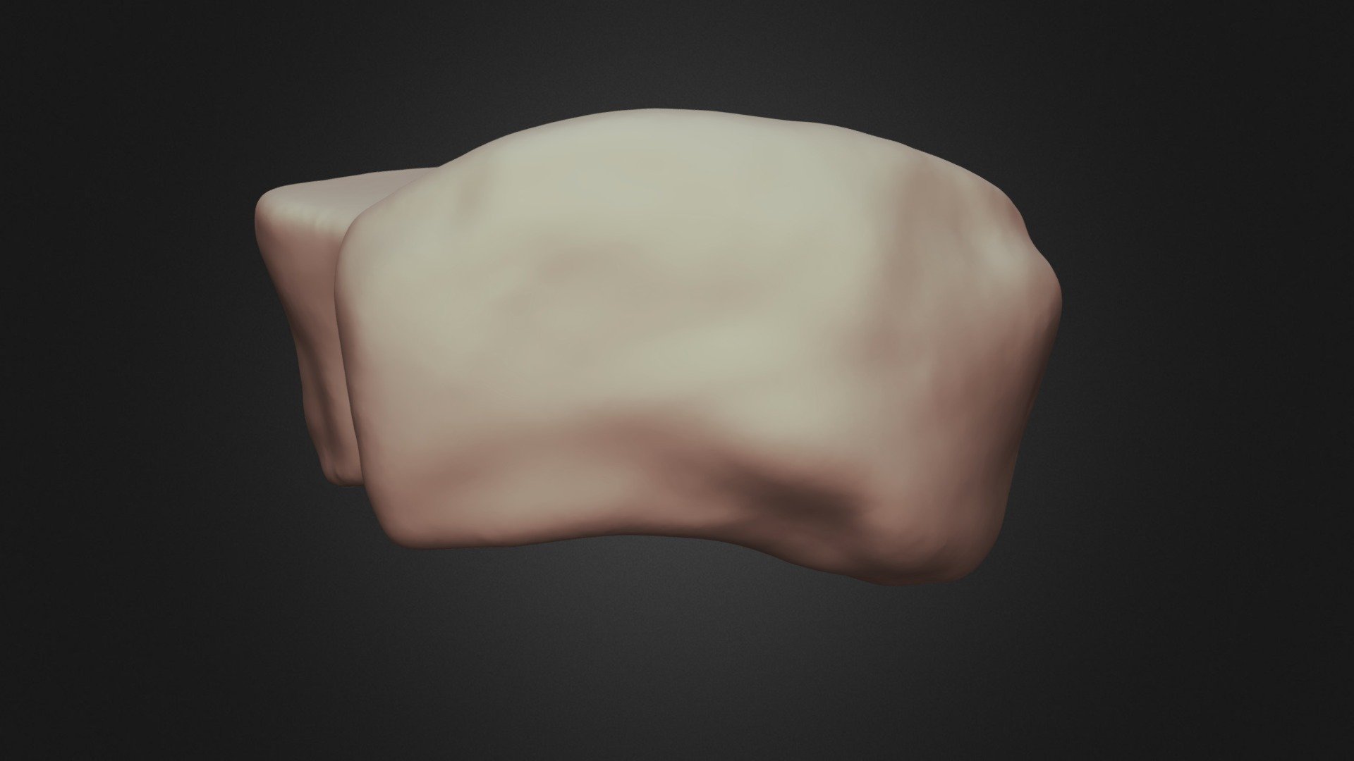 Odocoileus virginianus (Deer) Carpal - 3D model by Lakehead ...